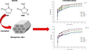 Long-lasting isothiazolinone-based biocide obtained by encapsulation in ...